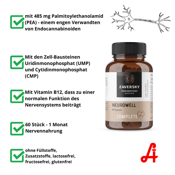 Neurowell Kapseln - der Nervenkomplex mit Citicolin & PEA